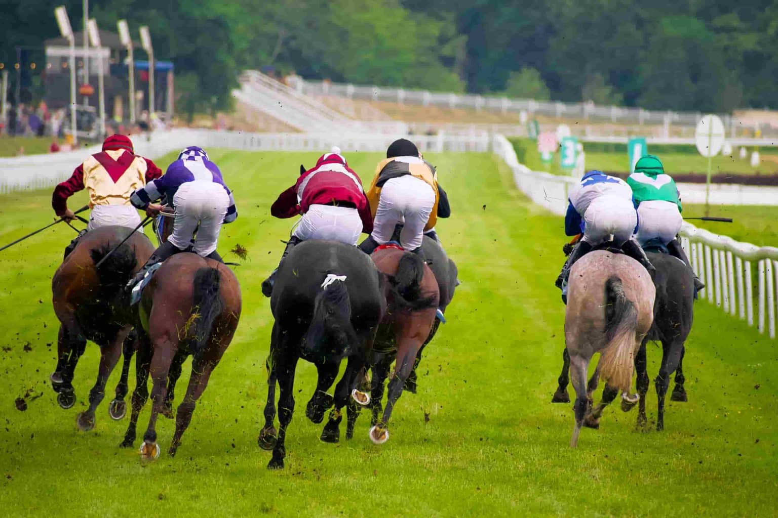 Andrew Mount - Horse Racing Tipster & Expert