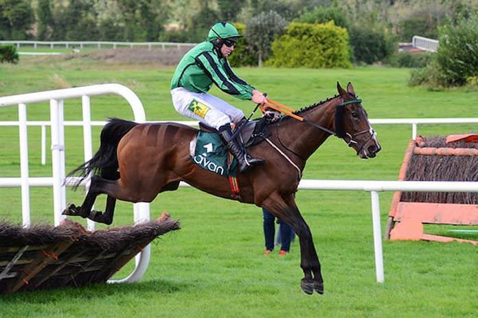 Hewick Horse Racing Trainer Shark Hanlon Suspended