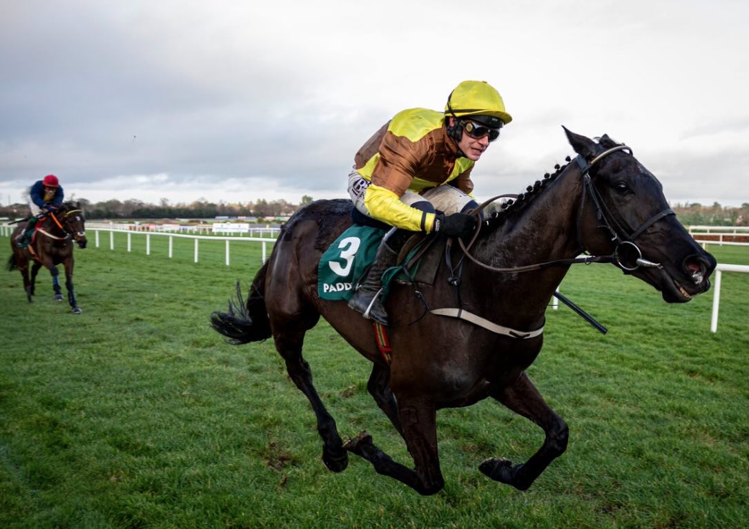 Galopin Des Champs cut to 6/4 for Cheltenham Gold Cup