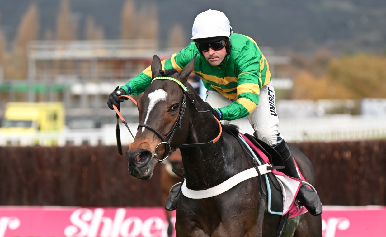 Jonbon cruises to Clarence House win, 11/8 for…