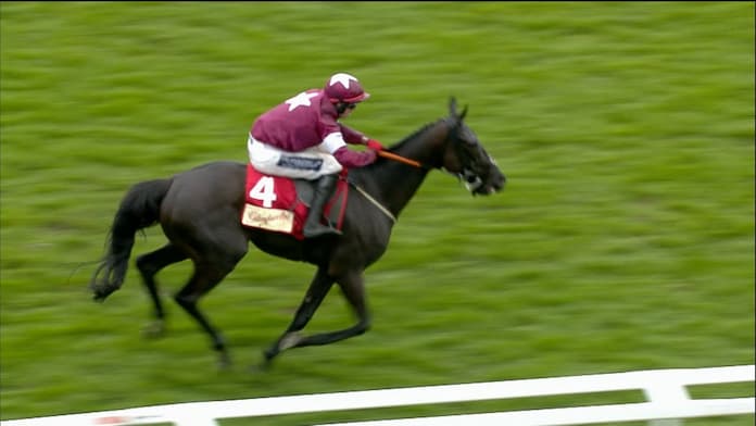 2024 Grand National Runner-up Delta Work Dies With Colic