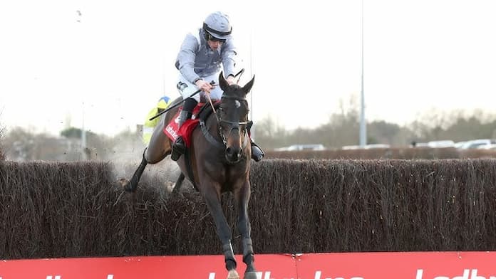 Who Are Wathnan Racing, Plus Stable Jockey, Owner & Colours