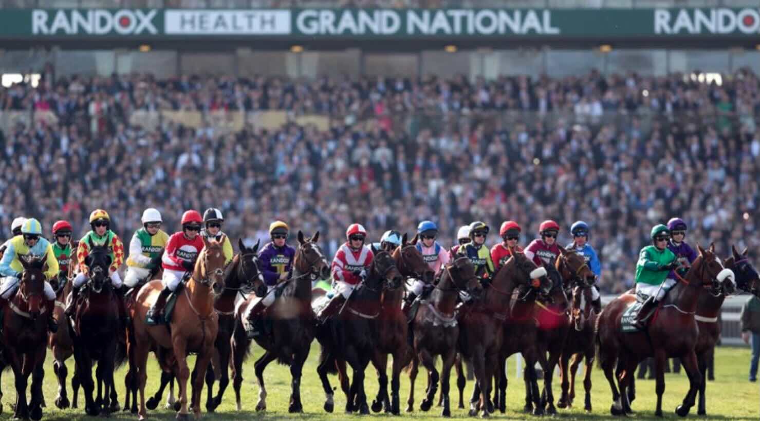 How Many Horses Will Run In The Grand National?
