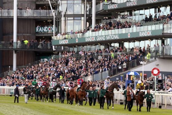 Grand National 2025 Runners Guide And 5-Star Ratings