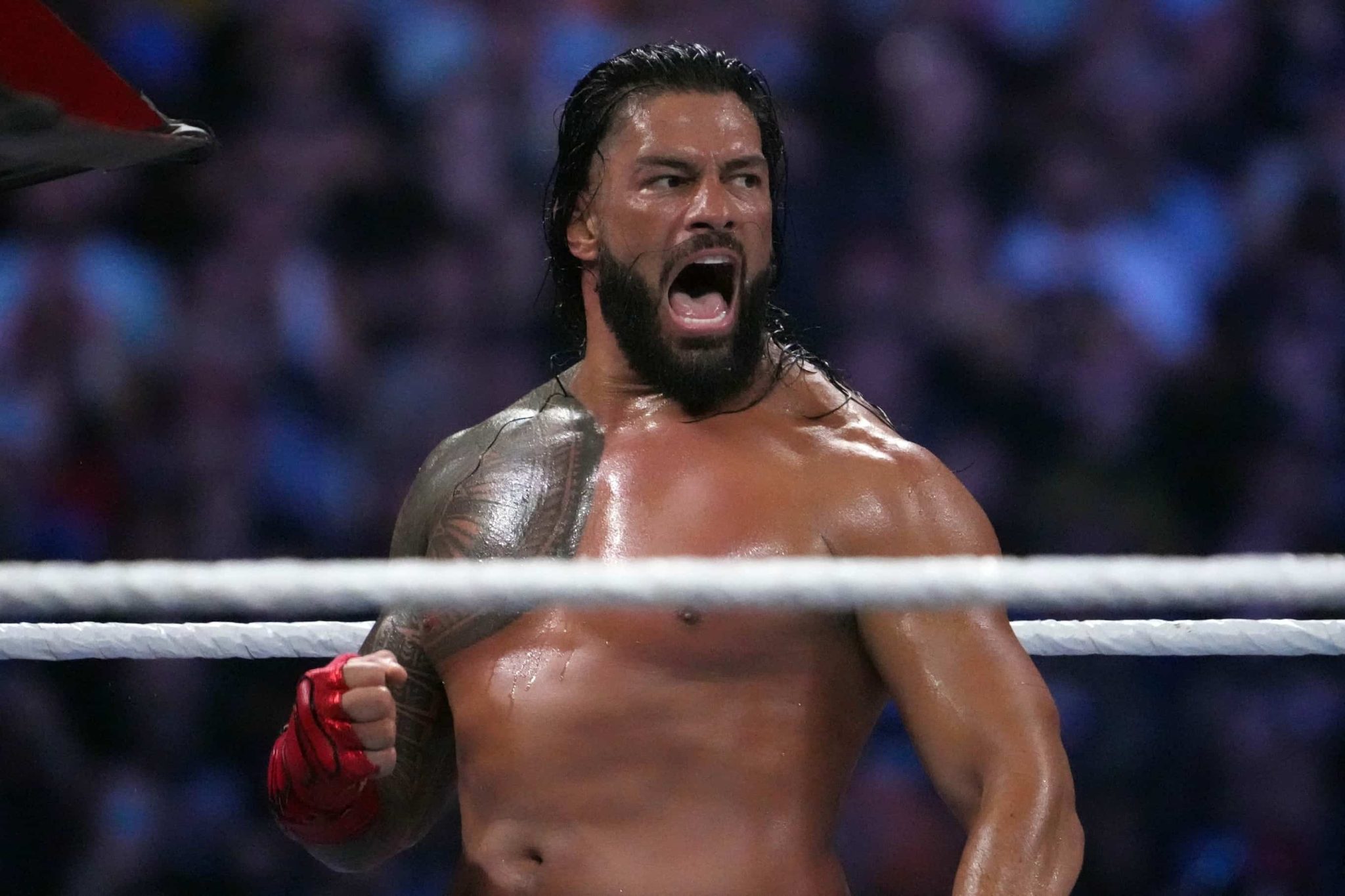 Roman Reigns Confirms Hollywood Plans After WWE Retirement