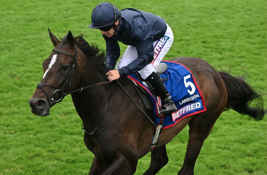 IShowSpeed Wants To Compete At The 2028 Olympic Games