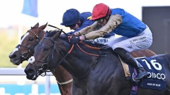 Who Are Wathnan Racing, Plus Stable Jockey, Owner & Colours