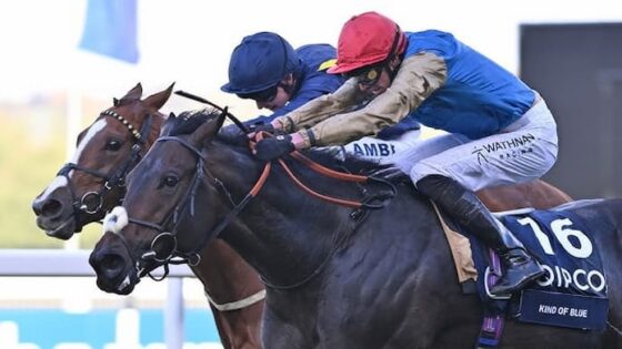 Who Are Wathnan Racing, Plus Stable Jockey, Owner & Colours