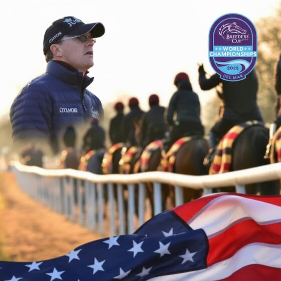 Most Successful Japanese F1 Drivers in History | Ranked