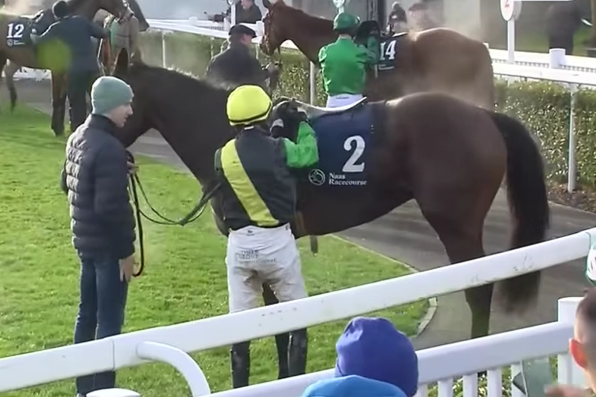 Mateta Issues Injury Update After Ear Was 'Destroyed'