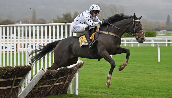 Champion Hurdle Ante Post Betting Tips: Back 10/1 Value Shot
