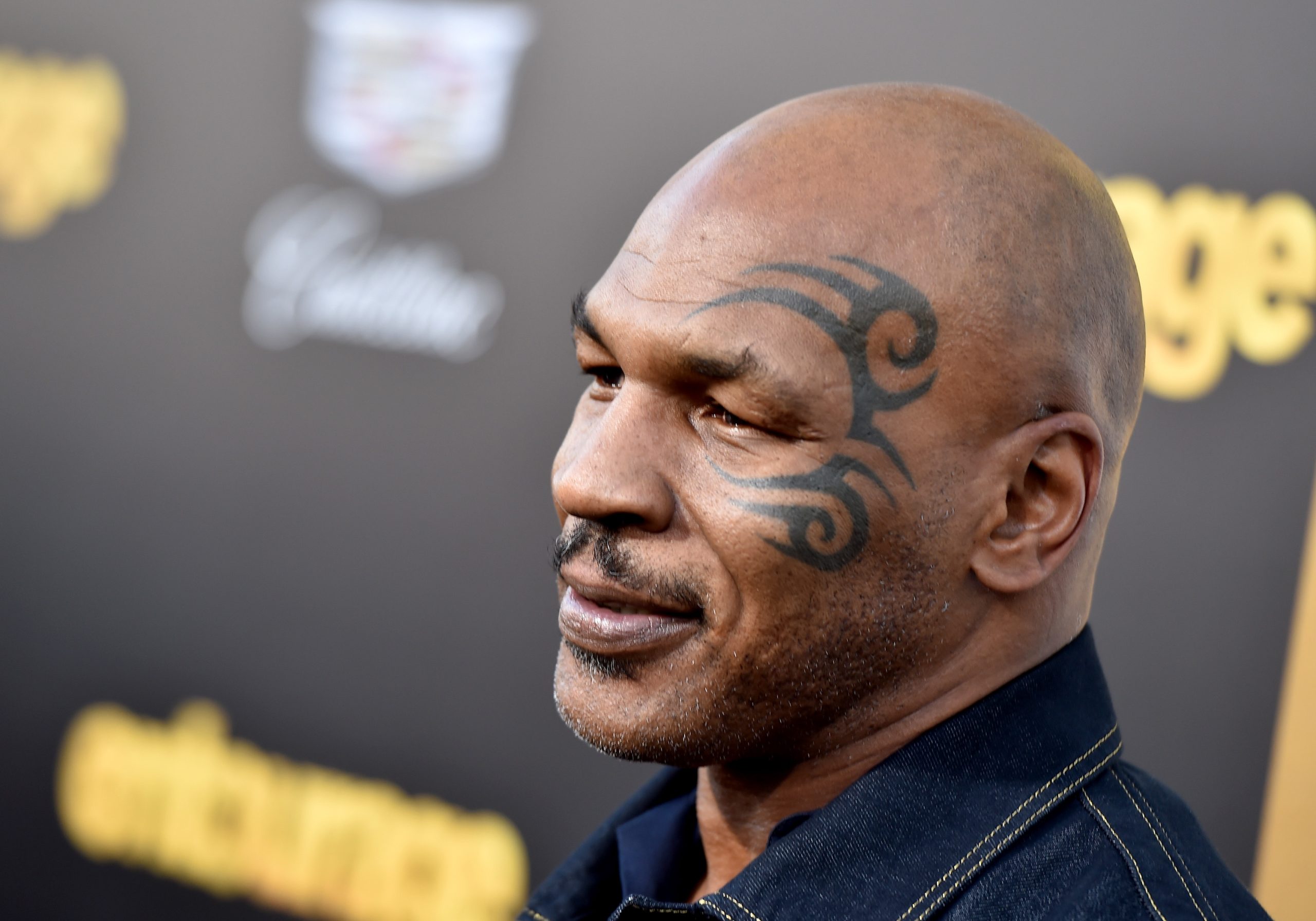 Mike Tyson: 'Death Is Even More Glorious Than Life' - Sportscasting ...