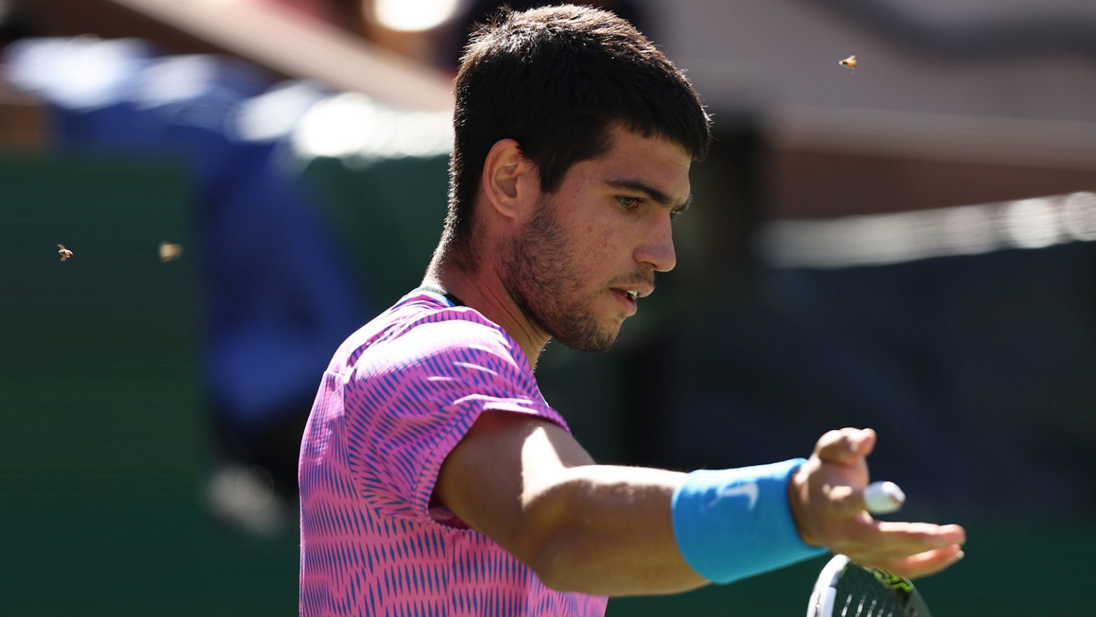 Carlos Alcaraz Defeats Jannik Sinner, Wins US Open, Assumes World No. 1 ...