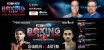 How to Bet on Boxing Fights - Complete Boxing Betting Guide 2025