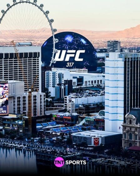 UFC 317 and International Fight Week 2025 Has Been Unveiled