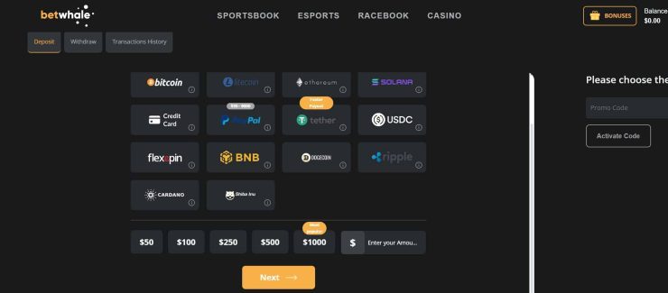 Best New Betting Sites in 2026 - Trusted New Sportsbooks Review