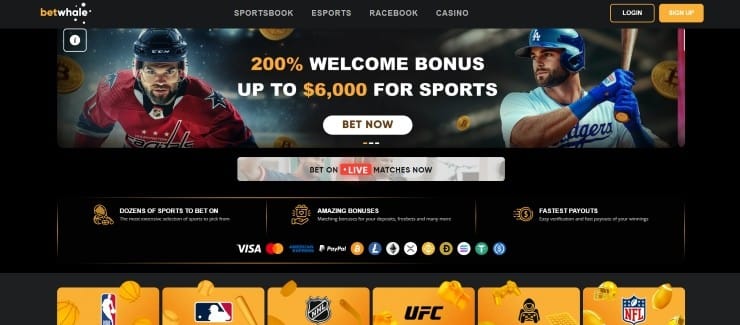 How To Bet On UFC 320 In Florida