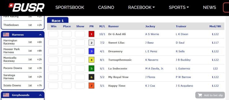 Best Offshore Sportsbooks for Online Betting in the USA 2025