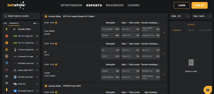 Best CSGO Betting Sites - Top CSGO Gambling Websites in 2025