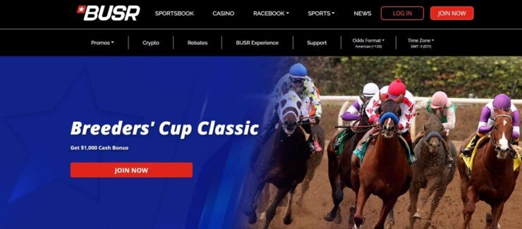 Best Horse Racing Betting Sites in 2025 - Online Racebooks Rated