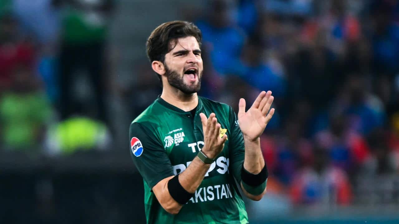 Fast Bowler Shaheen Afridi Named New Pakistan ODI Captain ...