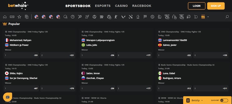 Best UFC Betting Sites 2026 - MMA Sportsbooks & Apps in the US